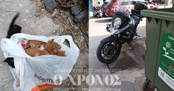 Κομοτηνή: Εγκατέλειψε γατάκια τυλιγμένα σε πλαστική σακούλα σε κάδο ...